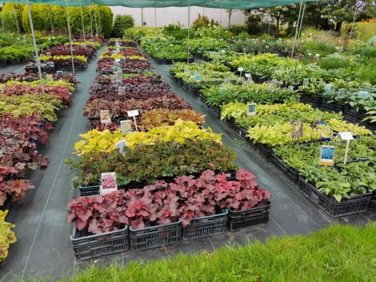 Targi ogrodnicze - Ogrody od A do Z